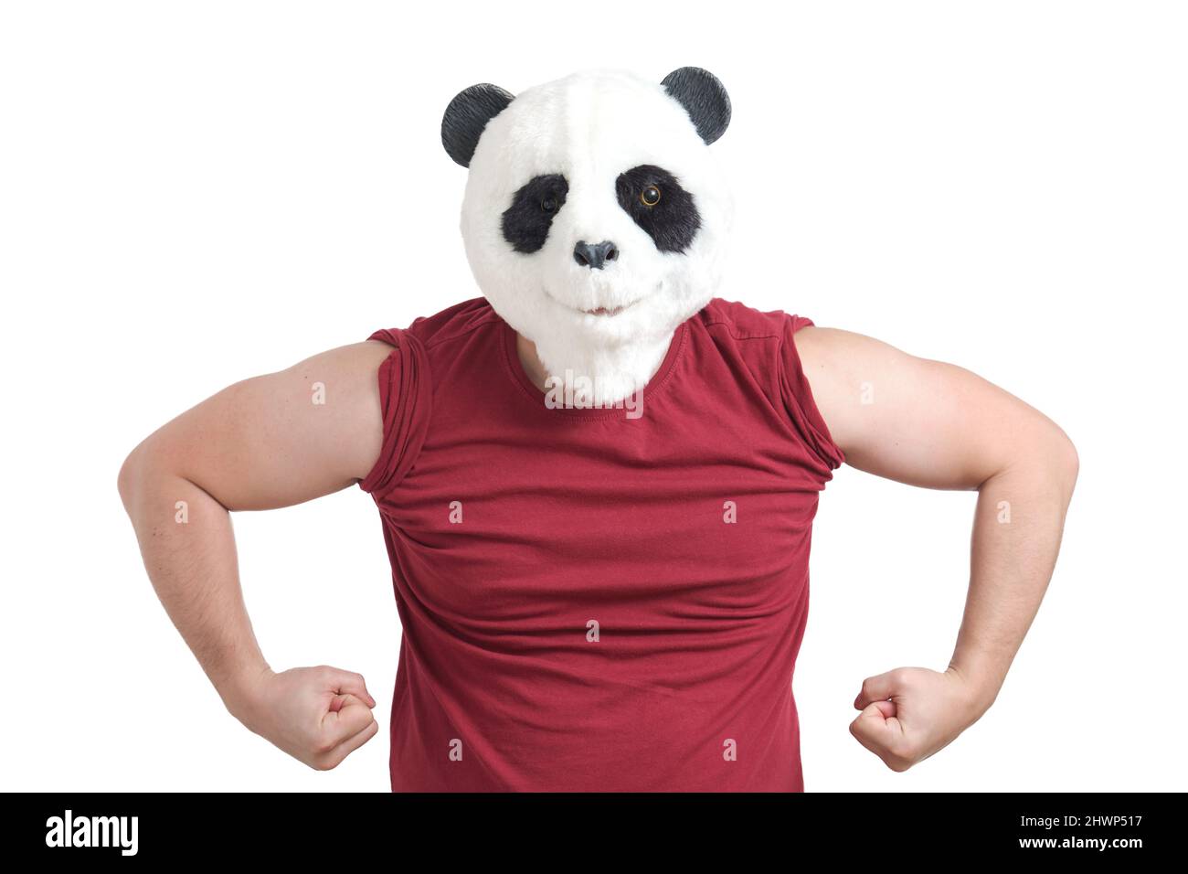 Panda bear disguise costume hi-res stock photography and images - Alamy