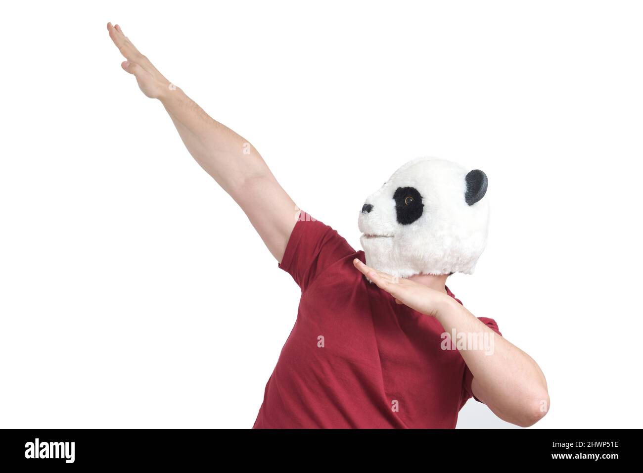 Man wearing a panda mask head showing dab move, isolated Stock Photo ...