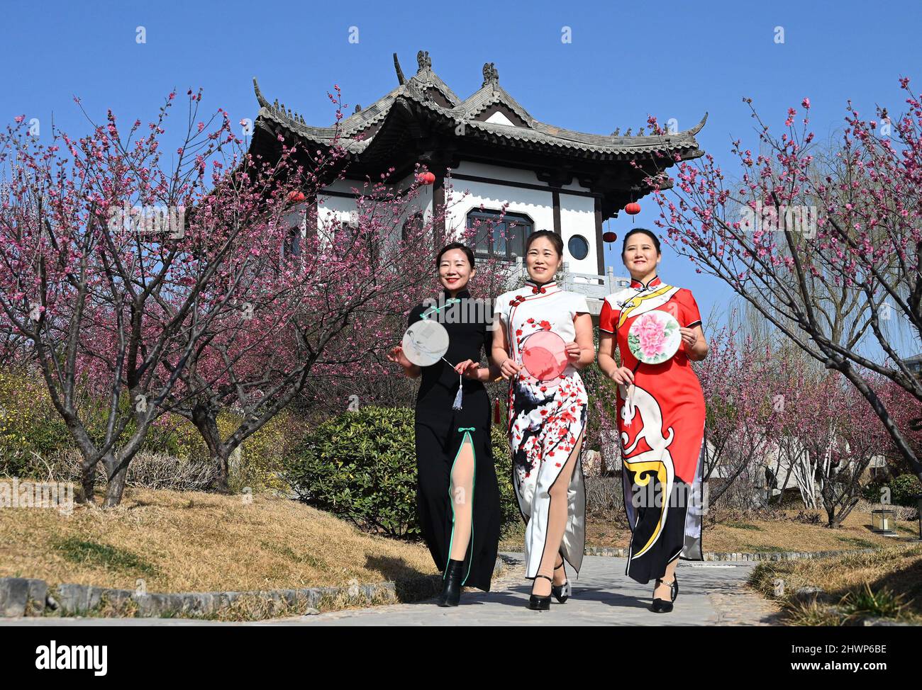 HANDAN, CHINA - MARCH 7, 2022 - Cheongsam lovers show cheongsam to ...