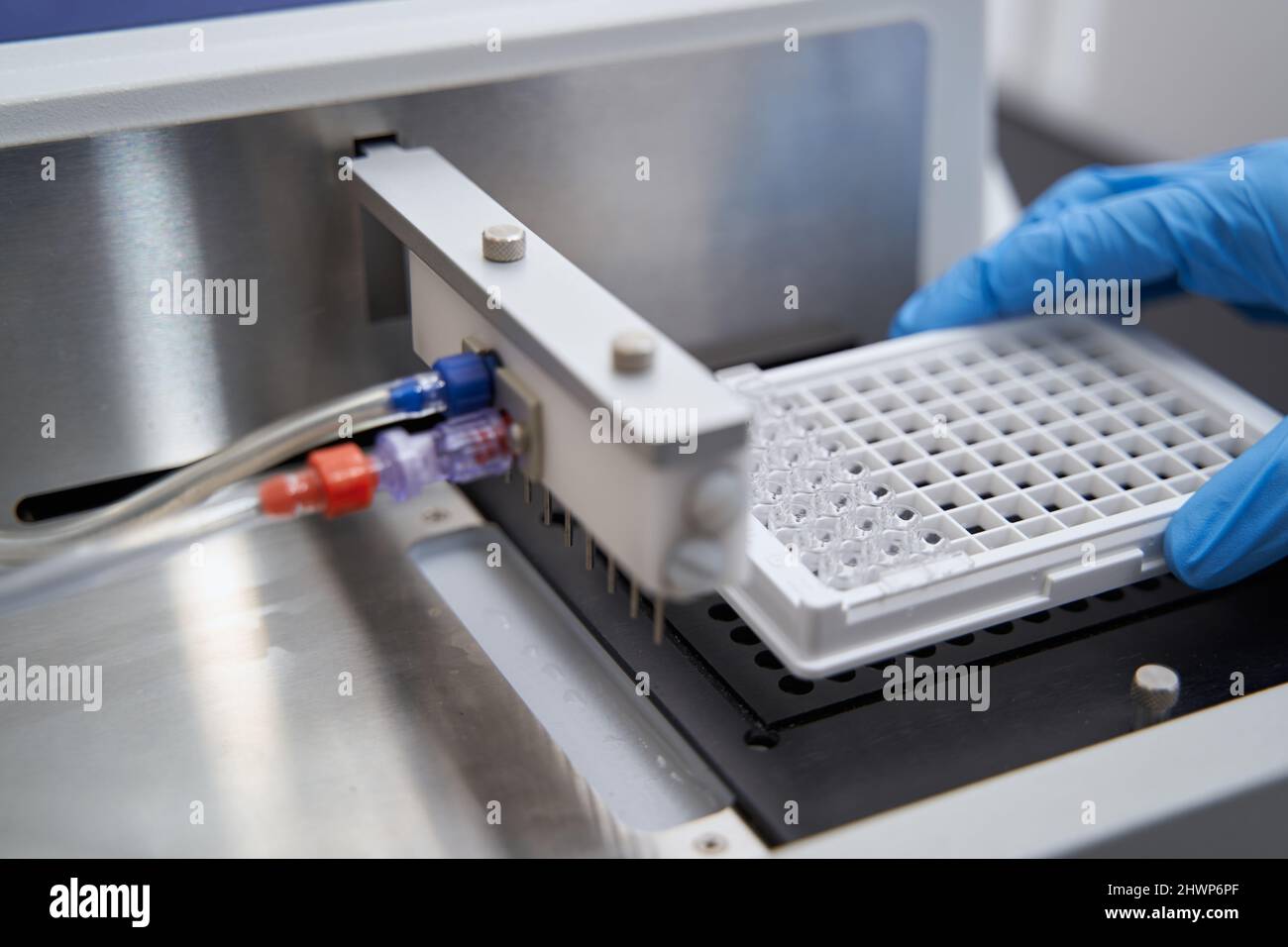 Professional doctor making test in the laboratory Stock Photo - Alamy