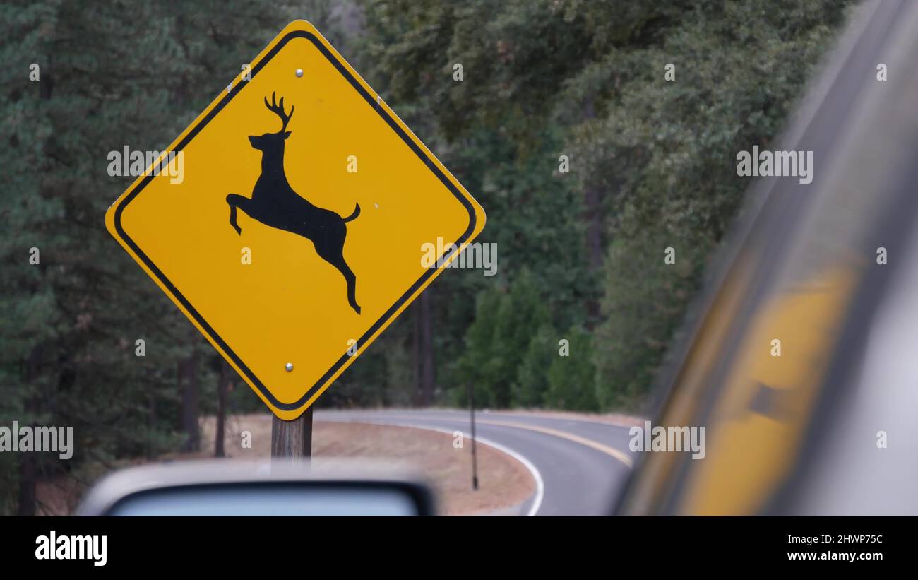 Deer crossing warning yellow sign, California USA. Wild animals xing ...