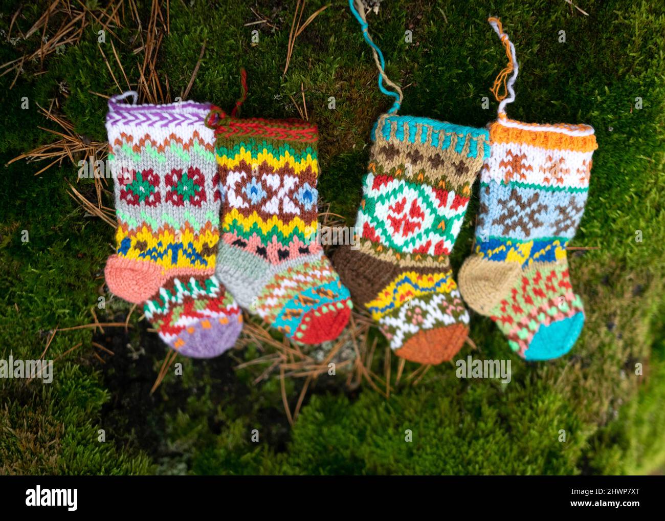 photography with knitted socks on a natural earth background ...