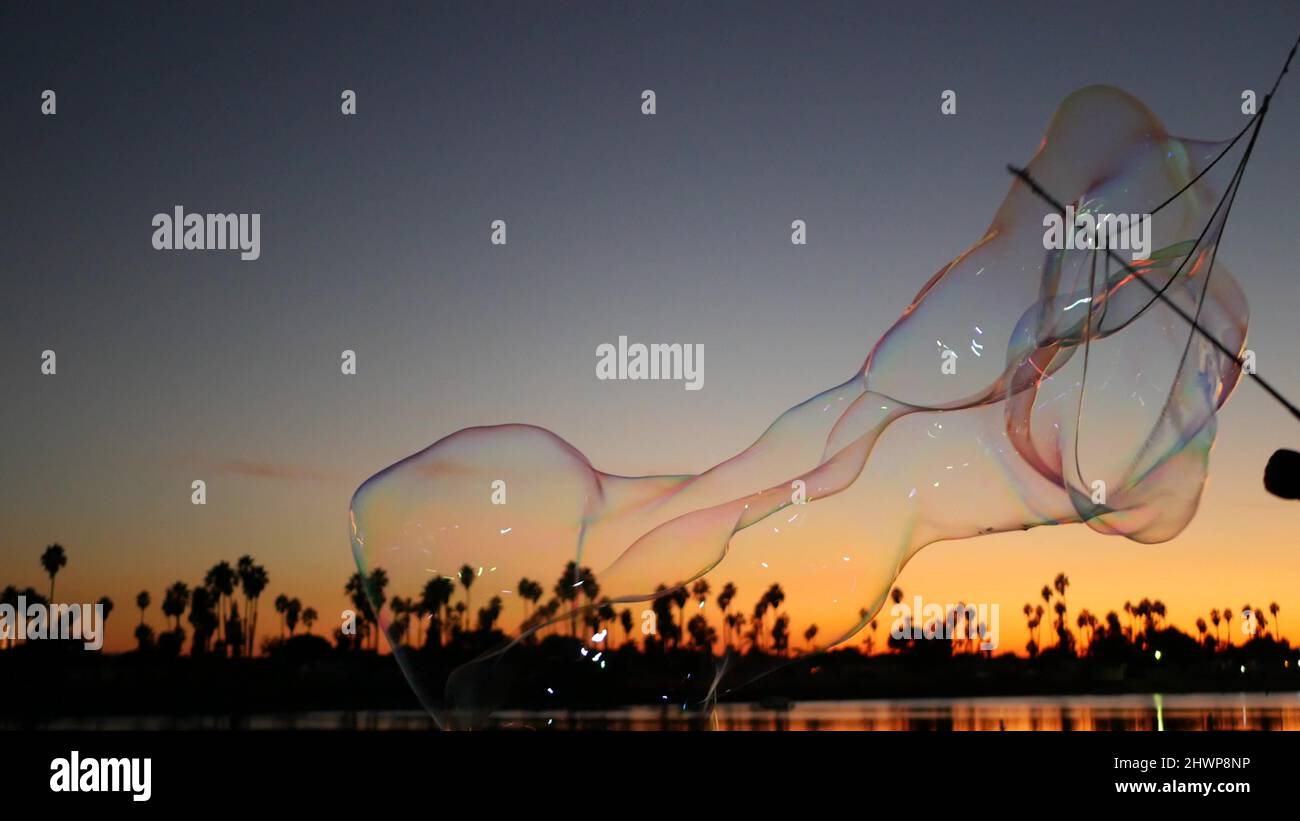 Big tree in breeze sunset hi-res stock photography and images - Alamy