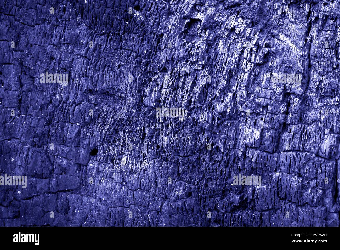 Burnt tree bark texture closeup. Burned wood background. Toned in Very ...
