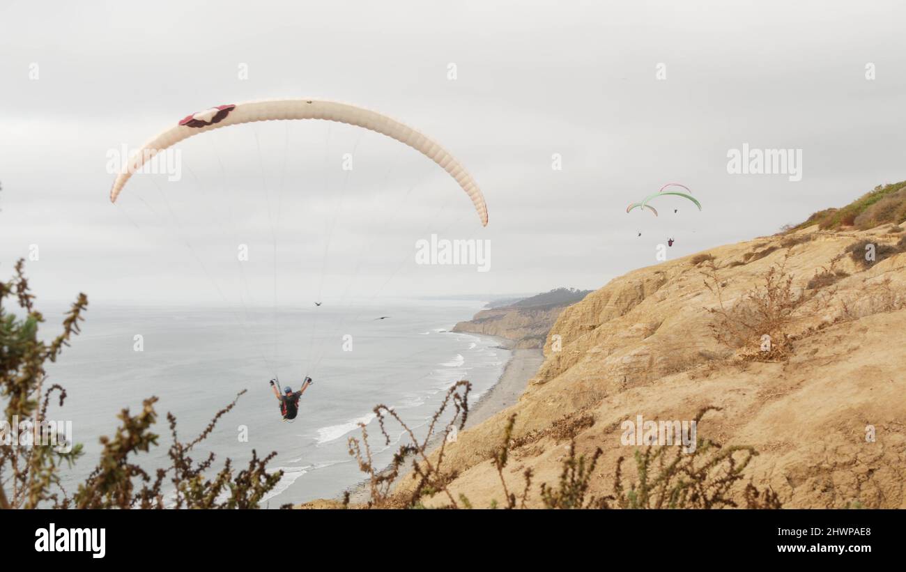 People paragliding, Torrey Pines cliff or bluff. Paraglider soaring in ...