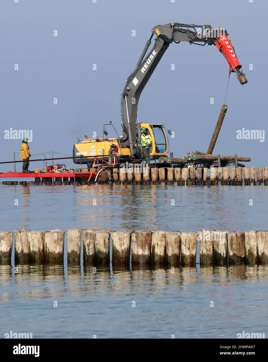Wustrow, Germany. 02nd Mar, 2022. Destroyed by the ship's borer (Teredo ...