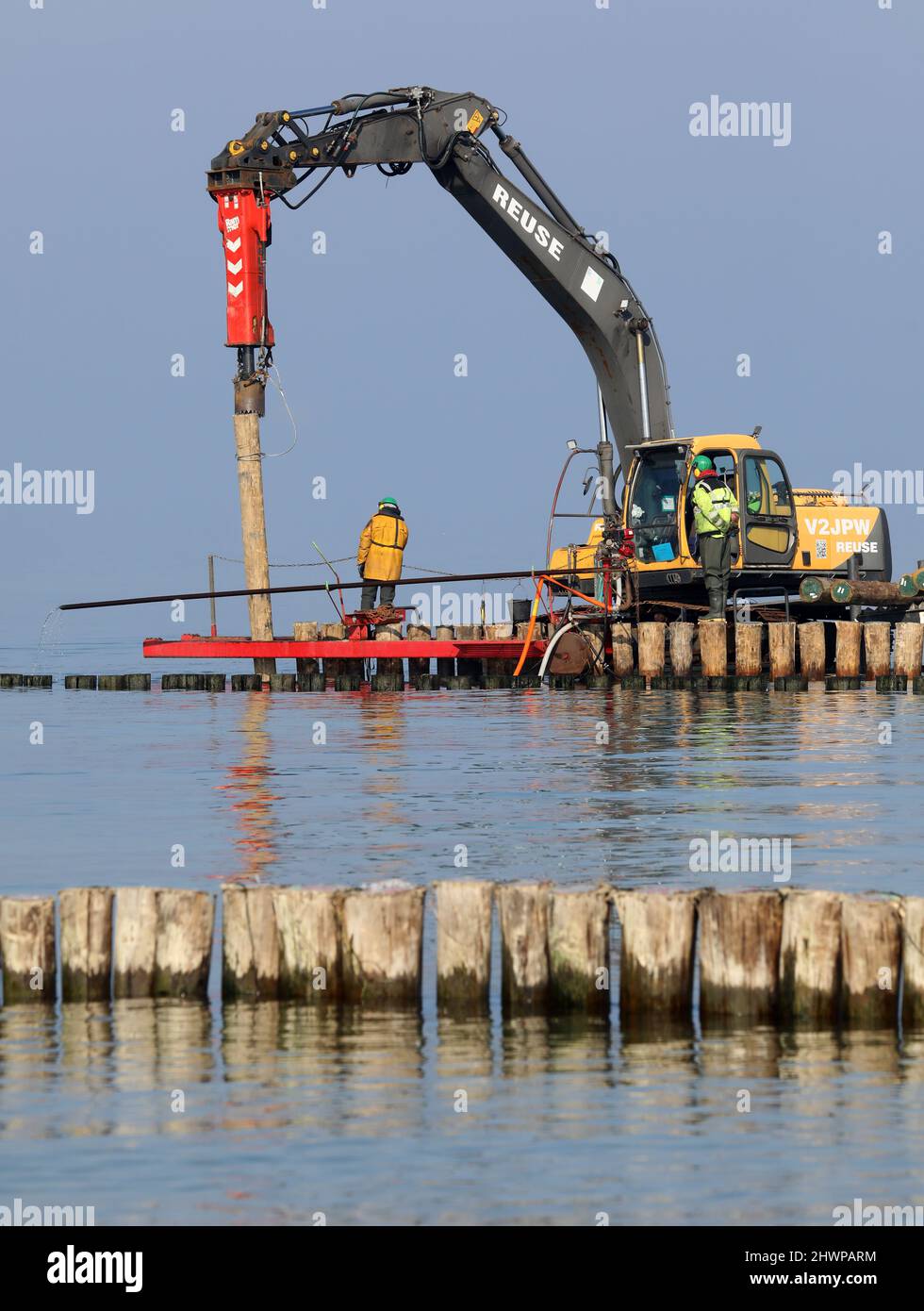 Wustrow, Germany. 02nd Mar, 2022. Destroyed by the ship's borer (Teredo ...