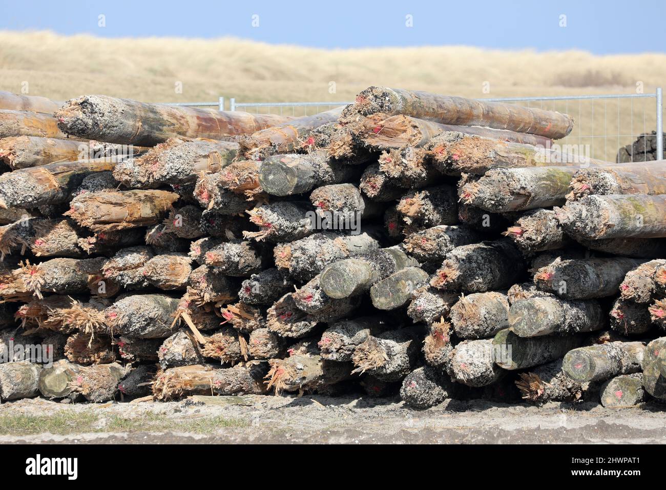 Wustrow, Germany. 02nd Mar, 2022. Behind the dike of the Baltic seaside ...