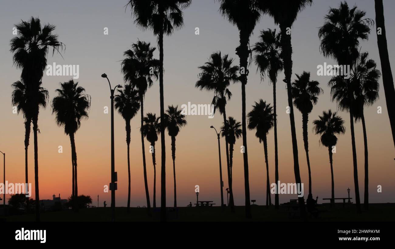 Orange and purple sky, silhouettes of palm trees on beach at sunset ...
