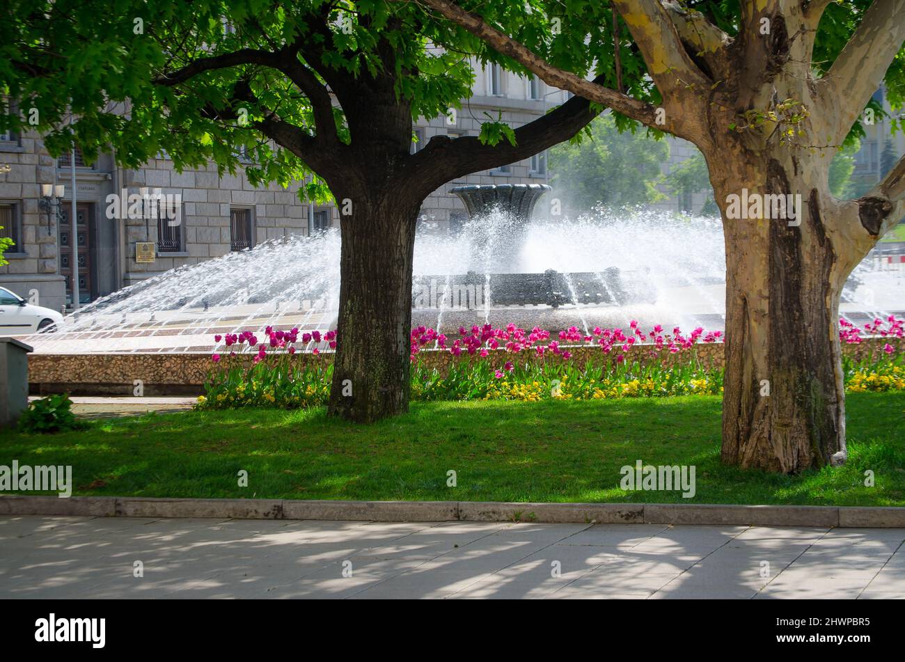 Bulgaria. Parks in Sofia full of tulips Stock Photo - Alamy