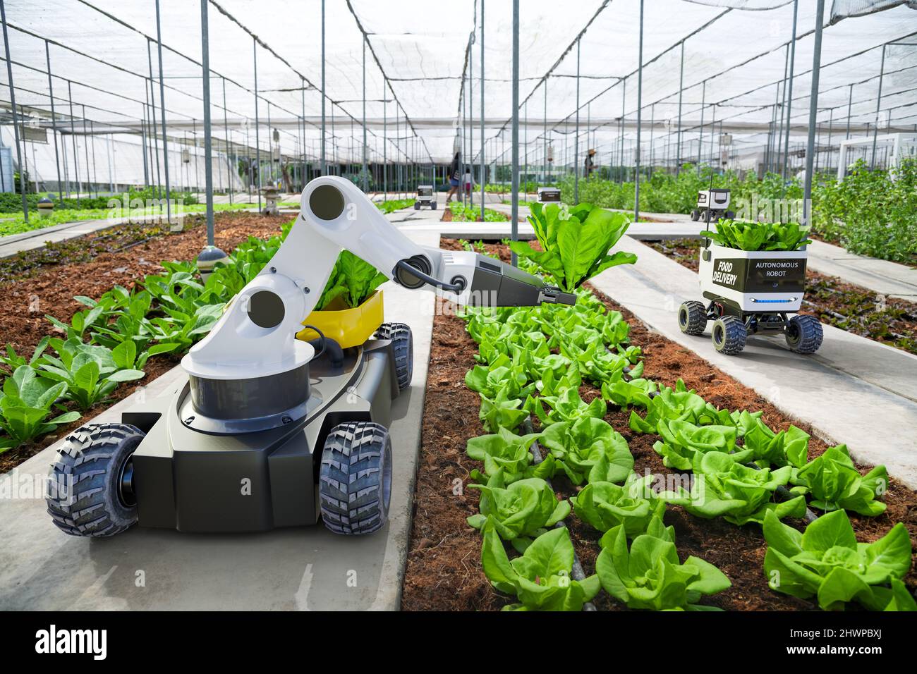 Agriculture robotic and autonomous car working in smart farm, Future 5G technology with smart ...