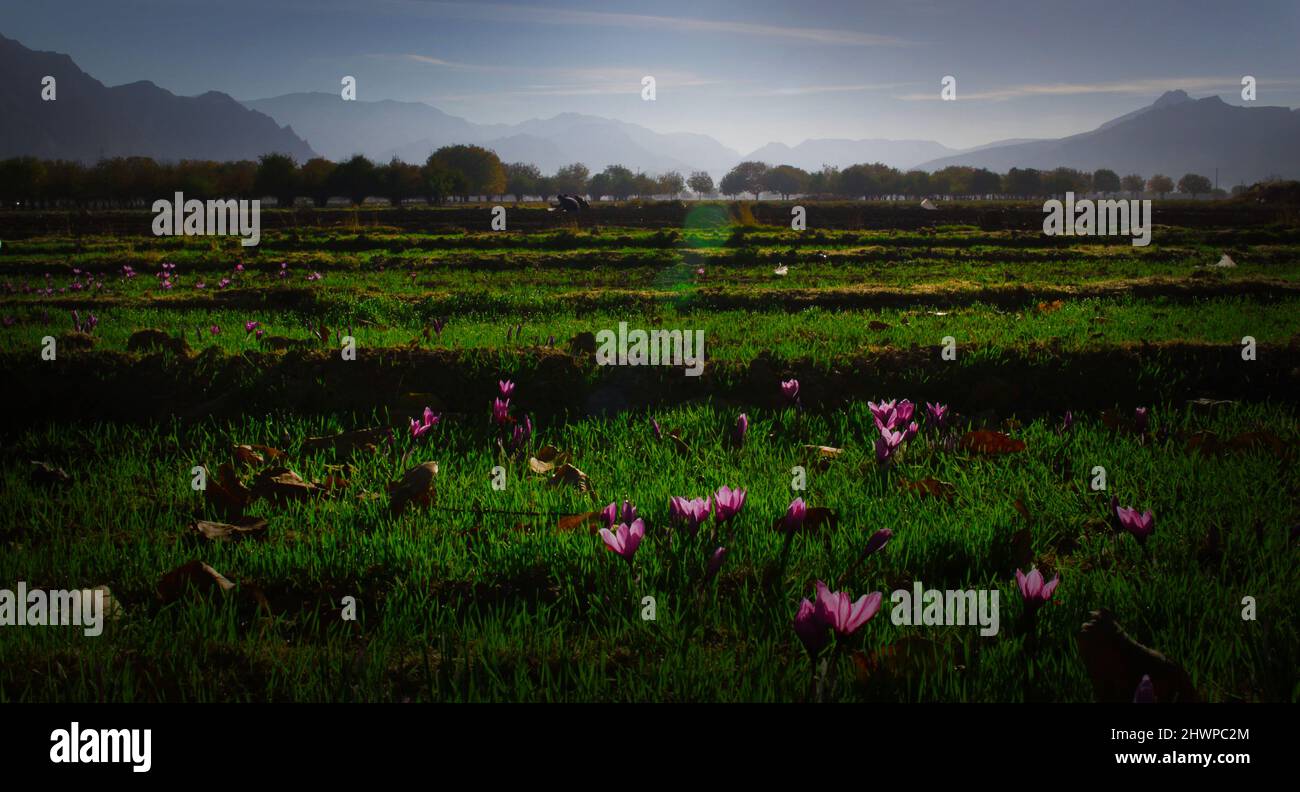 rural and pristine nature around Shiraz.which is very clean and ...