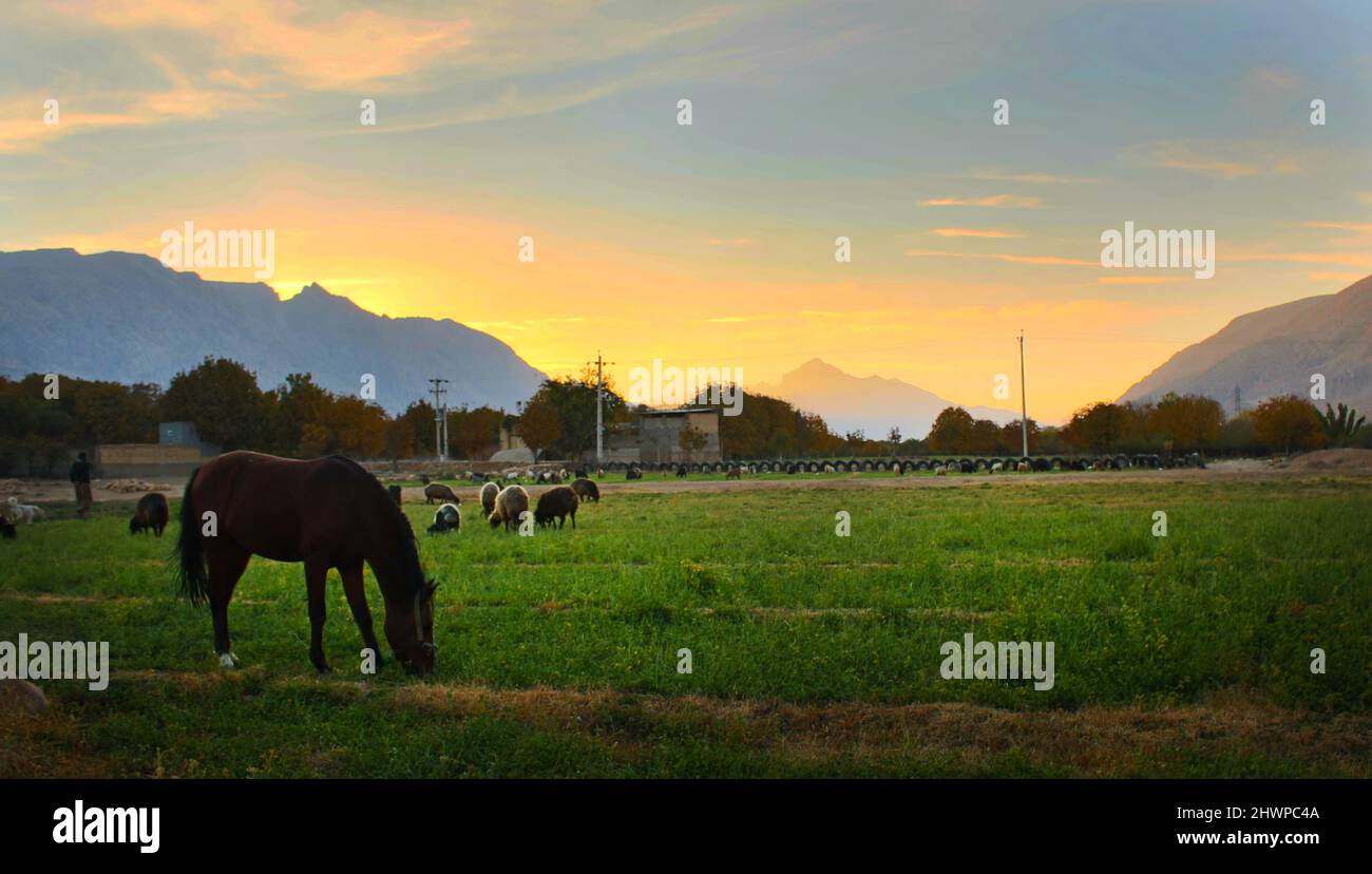 rural and pristine nature around Shiraz.which is very clean and ...