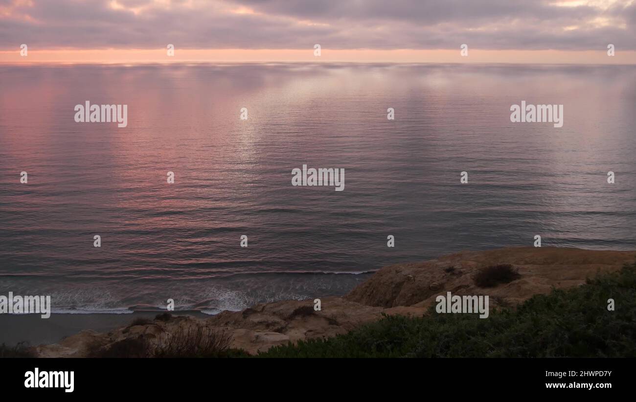 Pink pines hi-res stock photography and images - Alamy