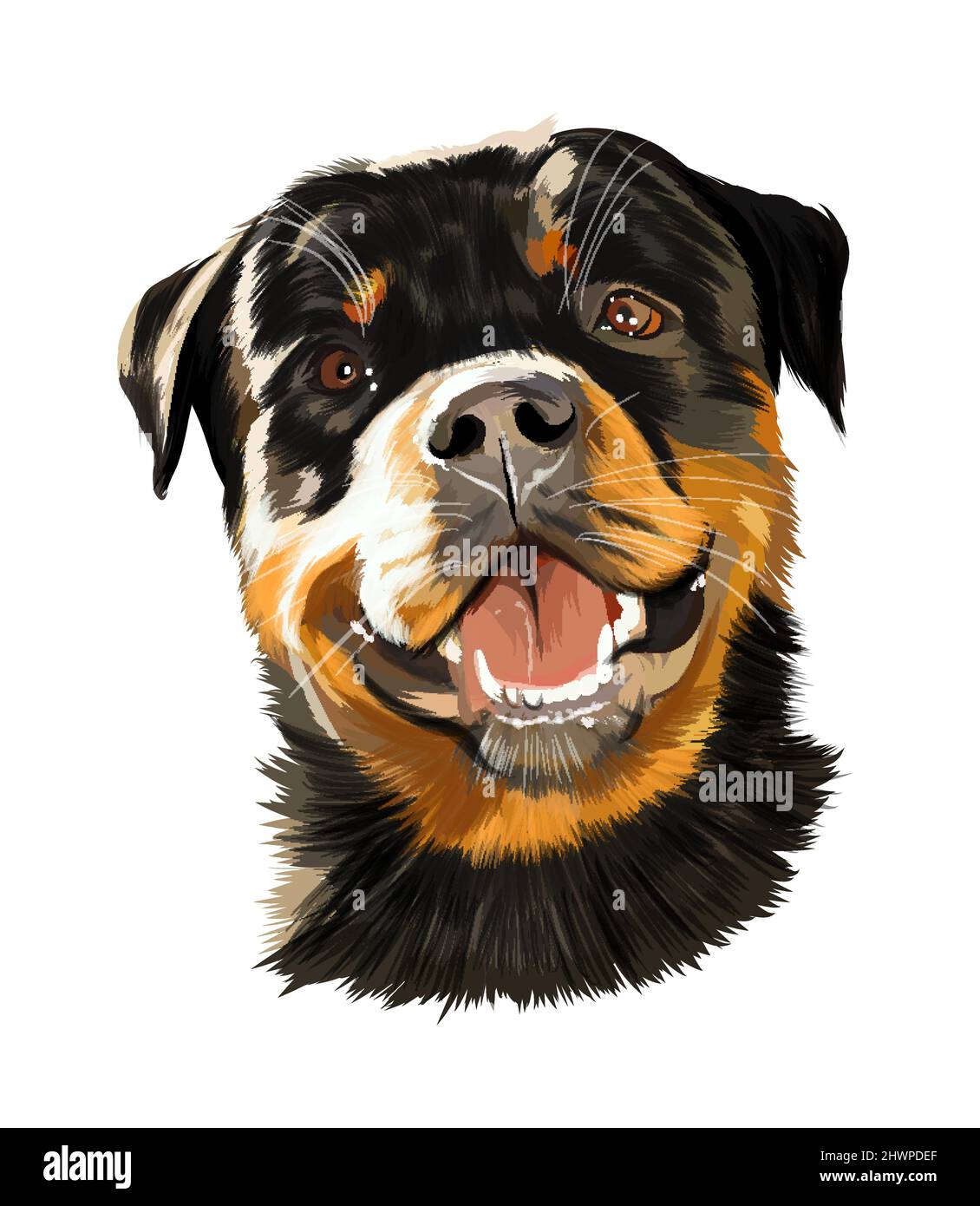 Head portrait of Rottweiler, German dog breed from multicolored paints ...