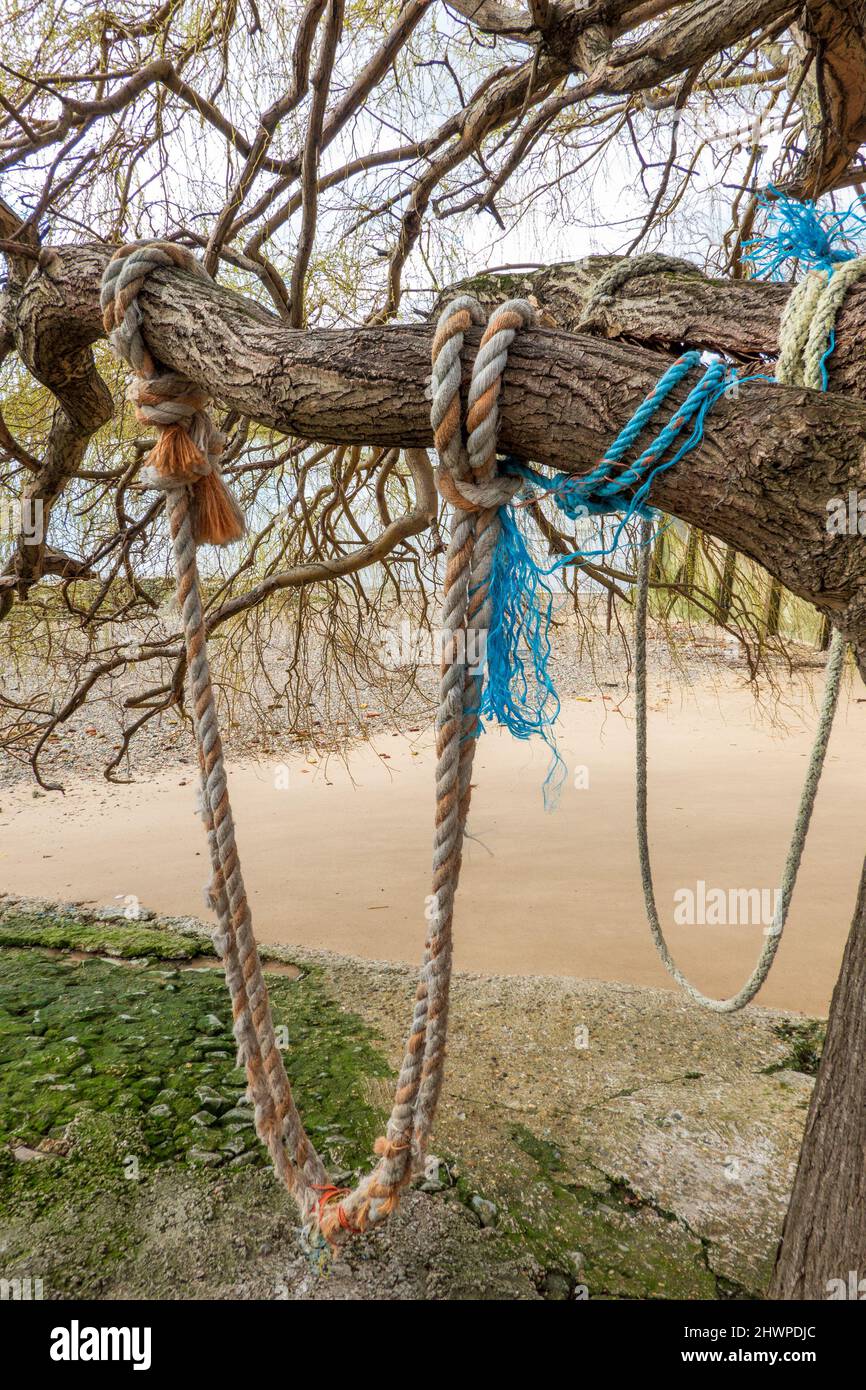 Rope swing, Thames path Stock Photo - Alamy