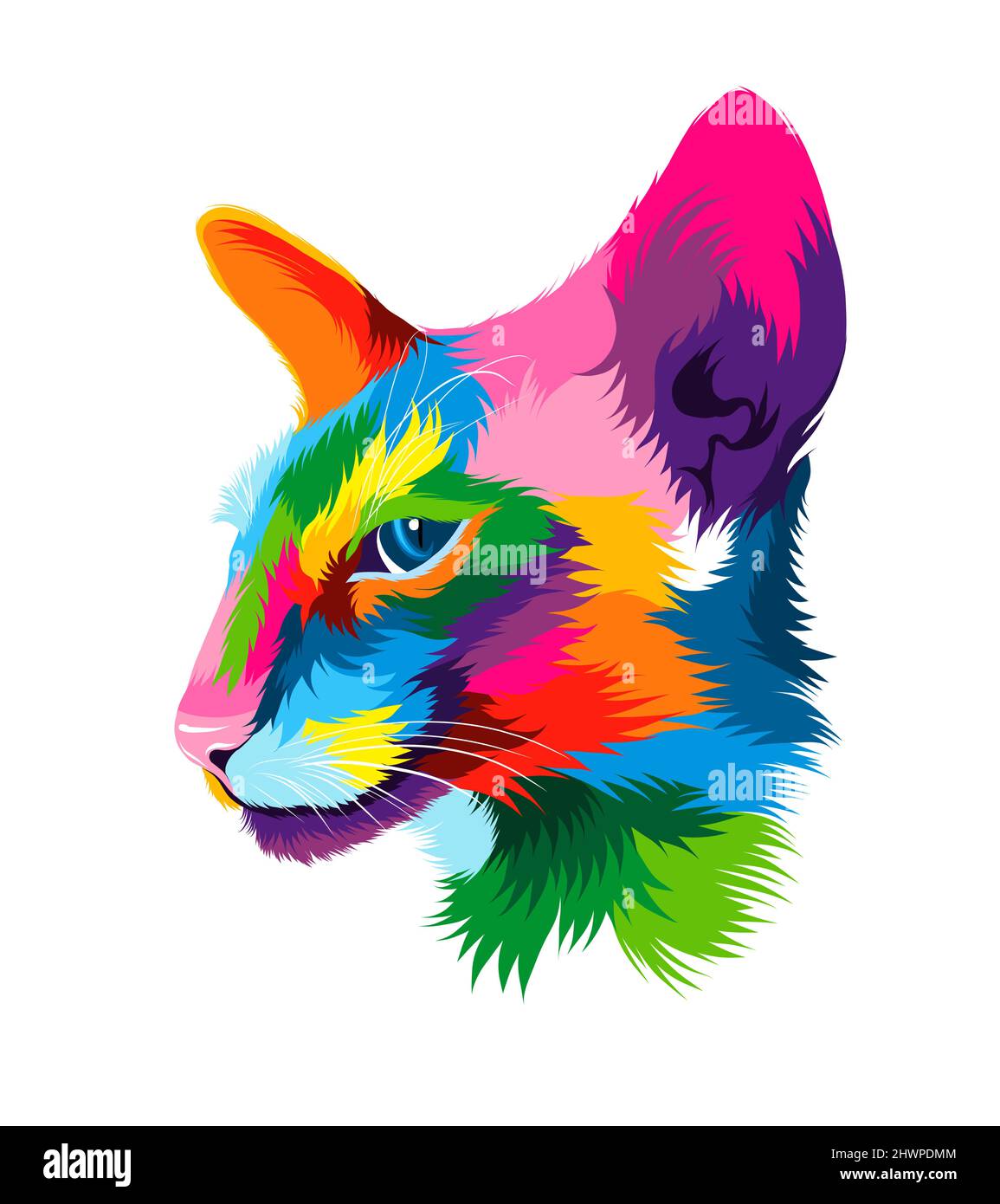 Abstract Oriental cat head portrait from multicolored paints. Colored ...
