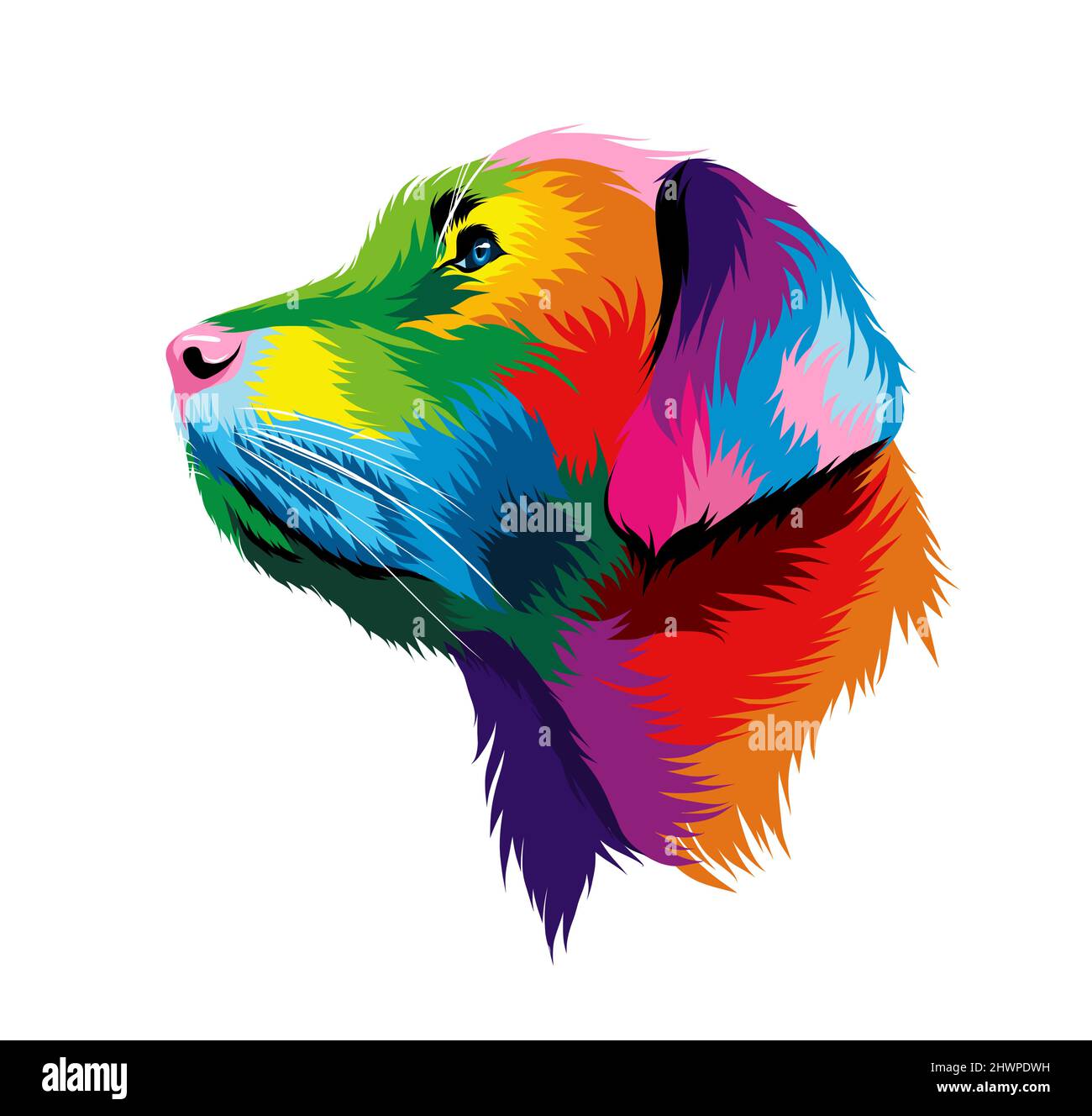 Abstract portrait of the head of a Labrador retriever from multicolored ...