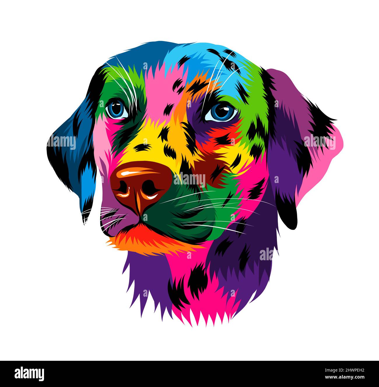 Abstract dalmatian dog head portrait from multicolored paints. Colored ...