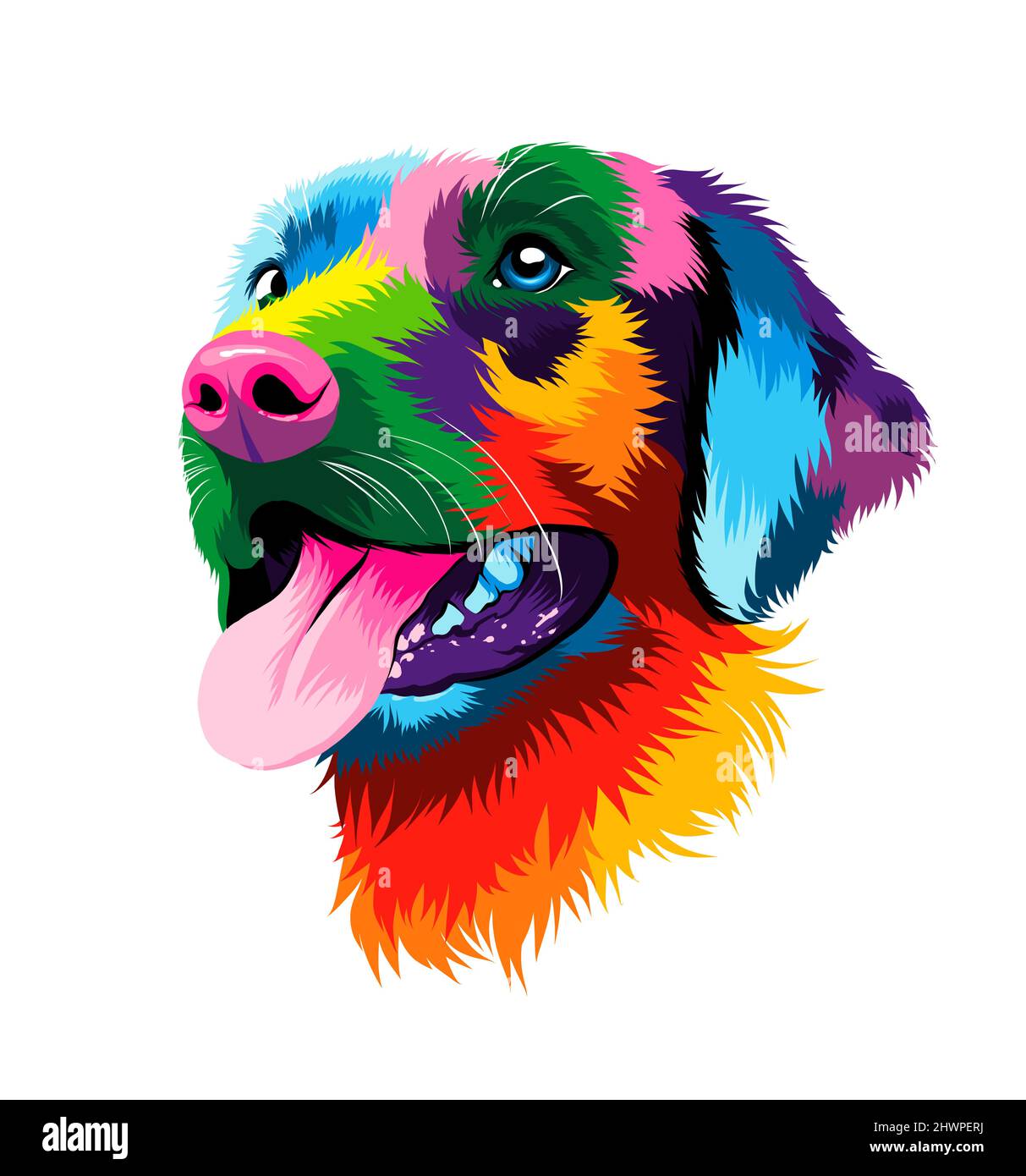 Abstract portrait of the head of a Labrador retriever from multicolored ...