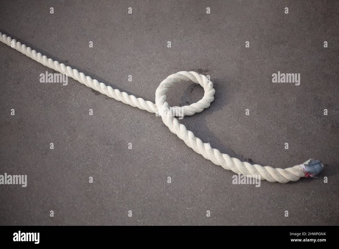 The end of the rope. The rope lies on the ground. Long rope on the ...