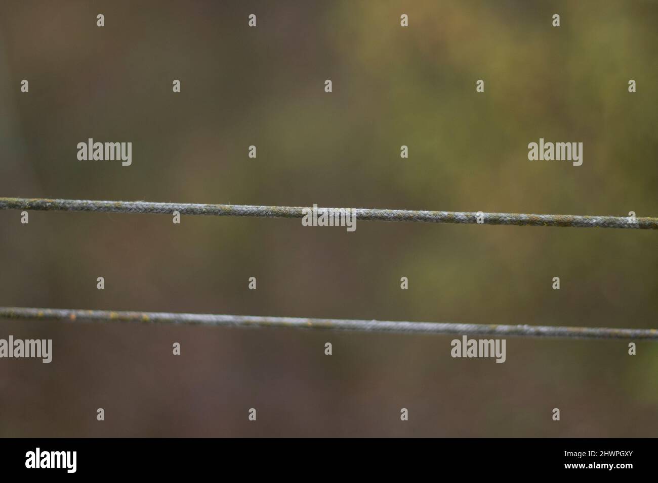 Clotheslines for drying clothes. Ropes outside window are stretched ...