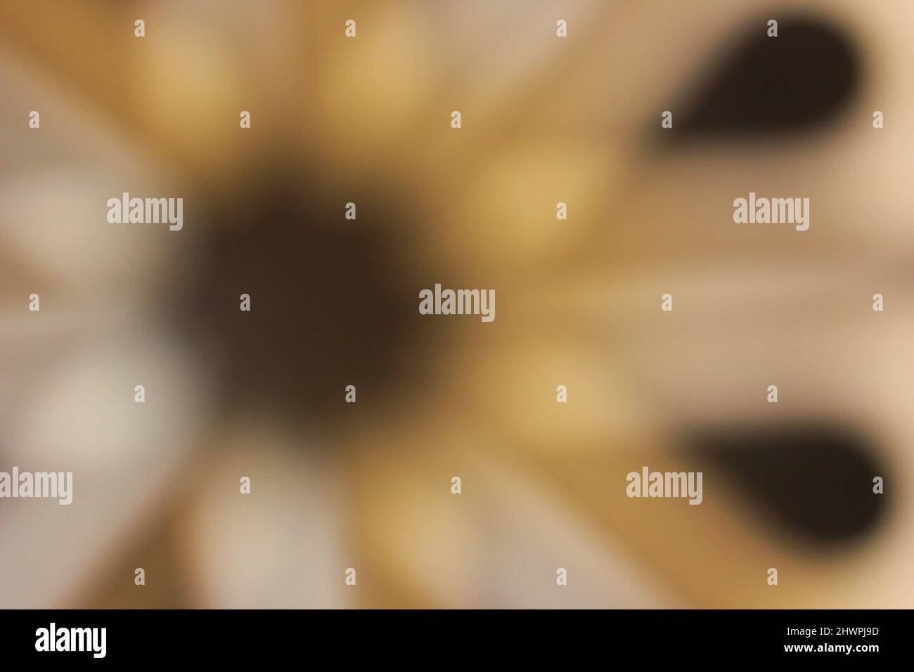 Dreamy blurry bokeh of an ancient gothic medieval ceiling with wood ...
