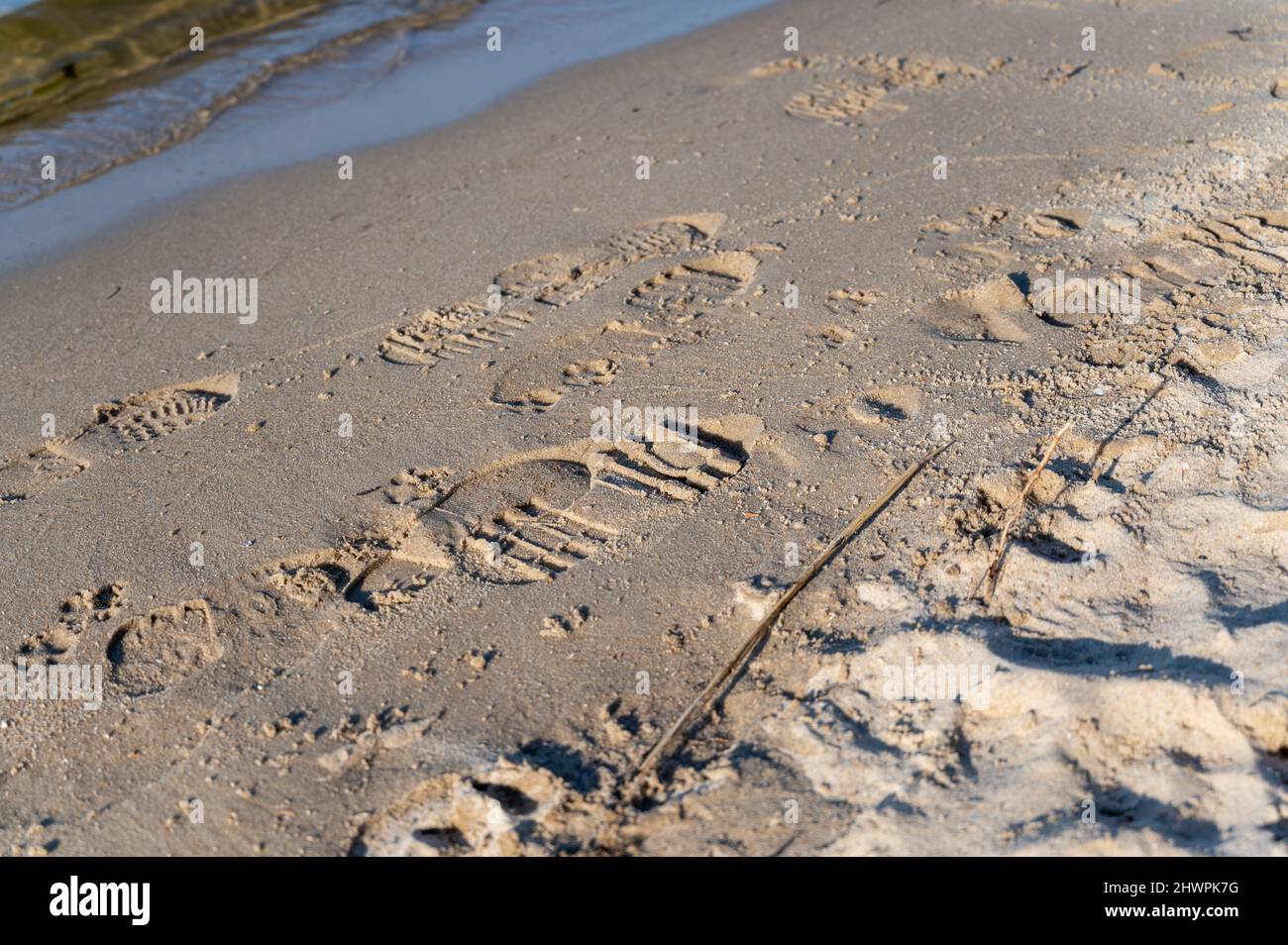 Footprints of different people on the wet sand. The shore of the sea or ...