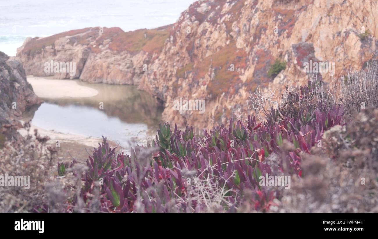 Creek estuary hi-res stock photography and images - Alamy