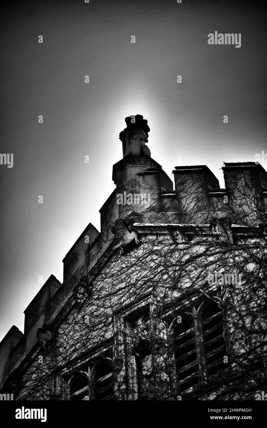 Scary intimidating Black and White Stock Photos & Images - Alamy