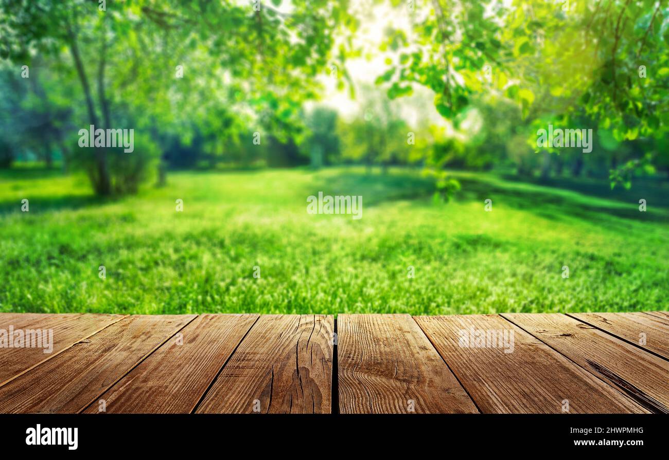 Wooden table and spring forest background Stock Photo - Alamy