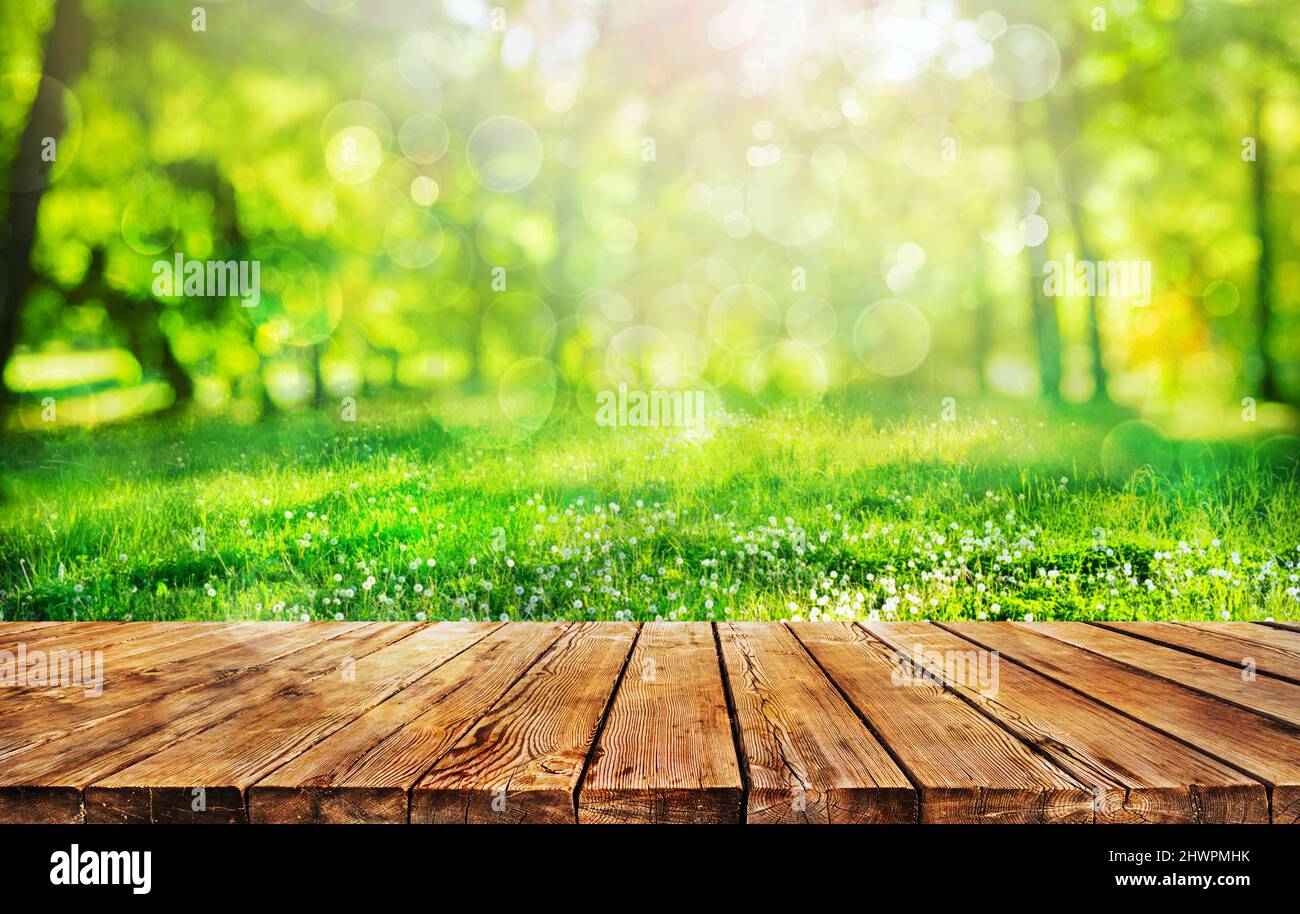 Wooden table and spring forest background Stock Photo - Alamy