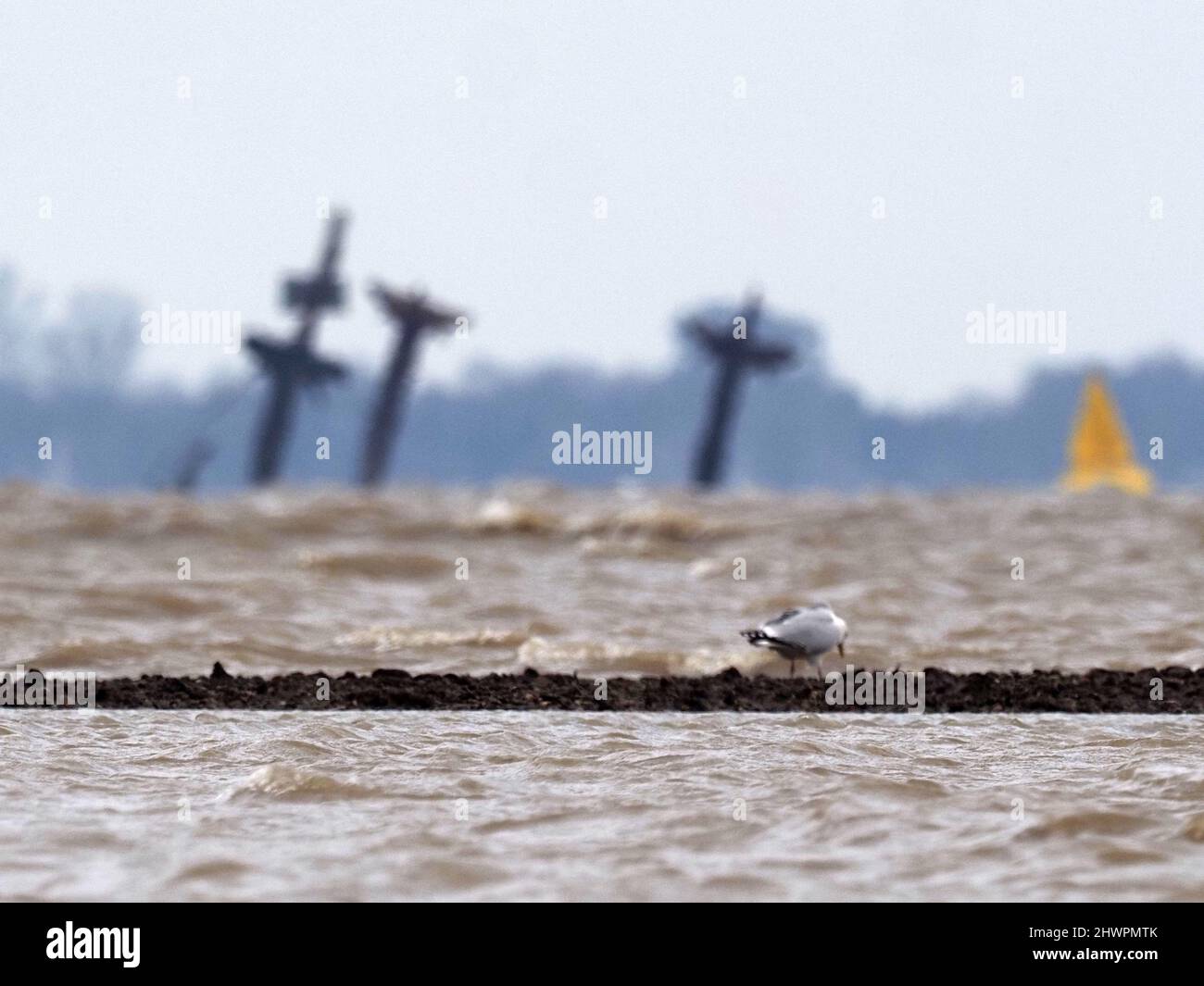 Sheerness, Kent, UK. 7th Mar, 2022. It's been revealed that a jack-up ...