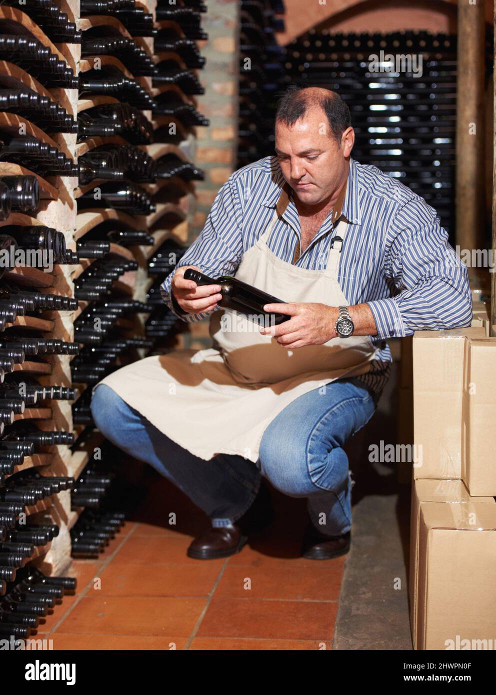 Person in a wine cellar hi-res stock photography and images - Alamy