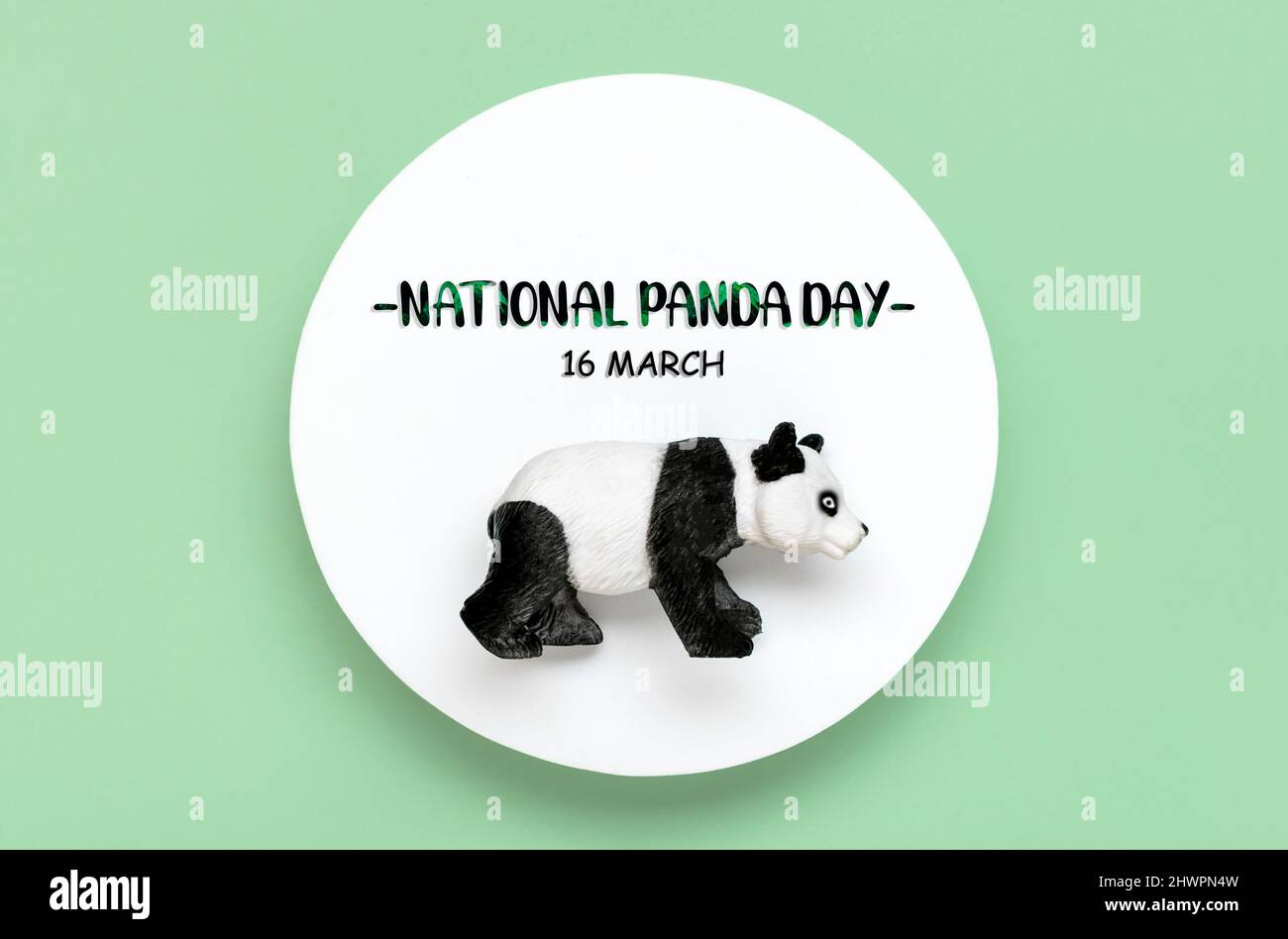 National Panda Day 16 March celebrate fluffiest, bamboo-munching bears ...