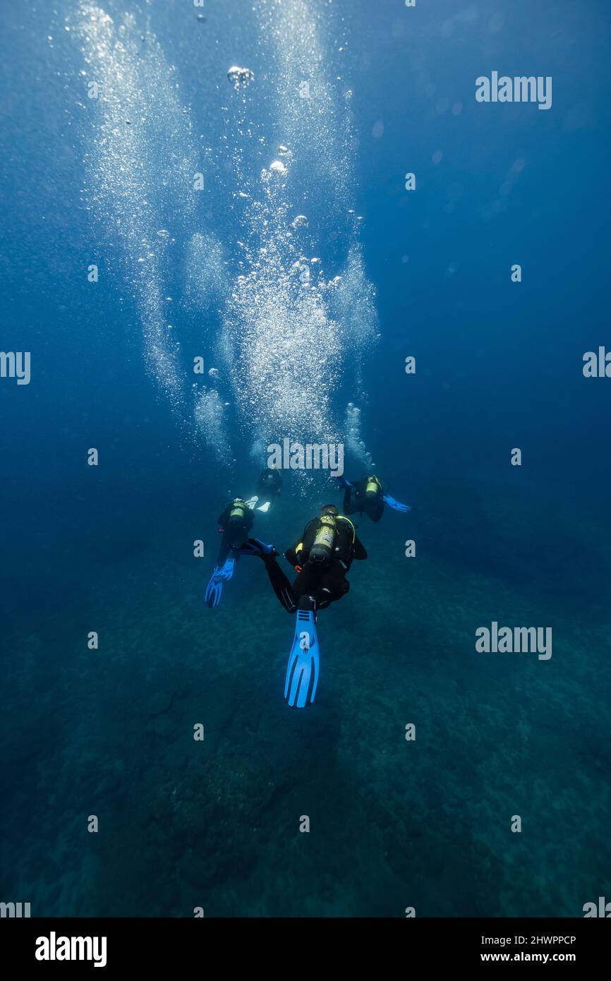 Friends diving around bubbles underwater Stock Photo - Alamy