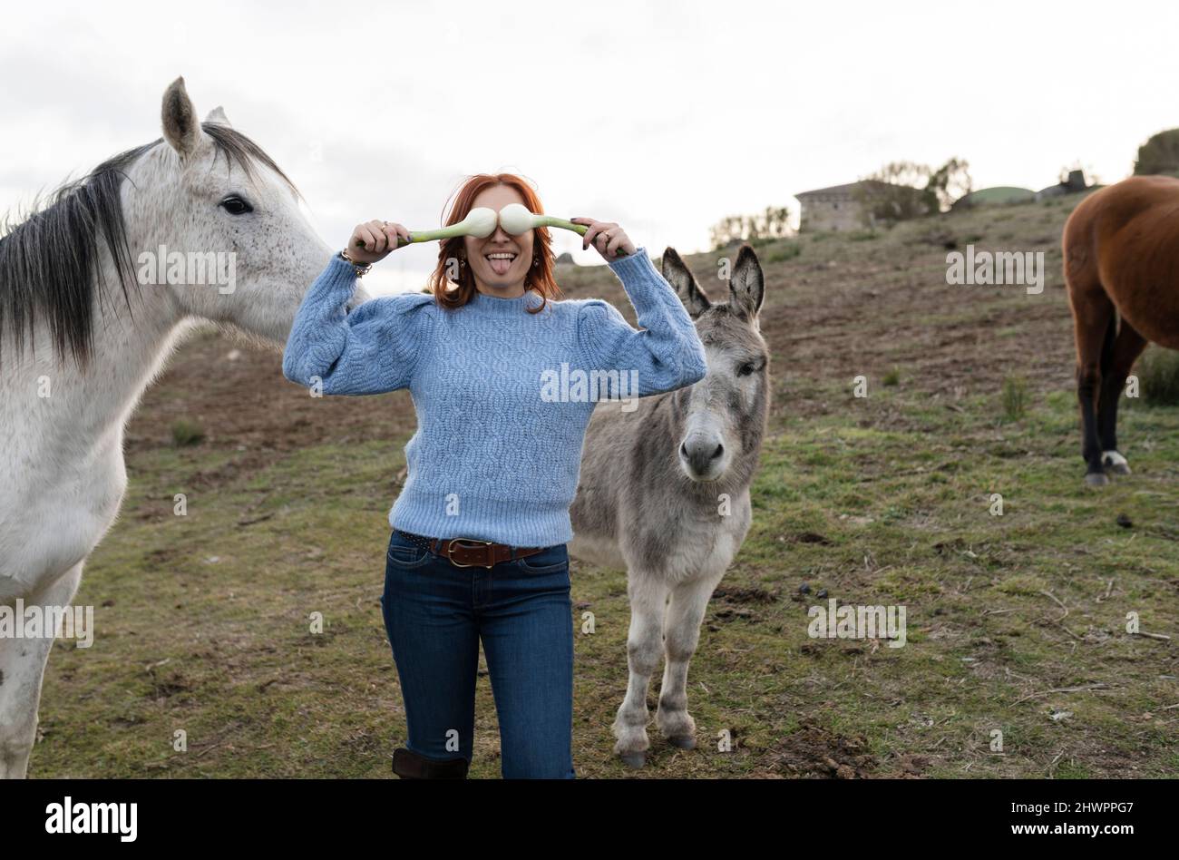 Woman covering eyes with scallions by horse and donkey in ranch Stock ...