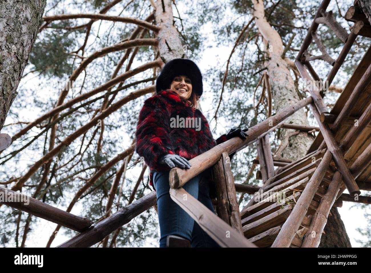 Tree forest nature staircase steps hi-res stock photography and images ...