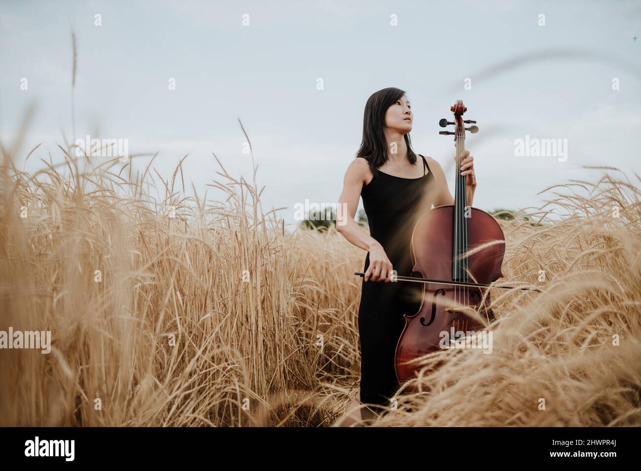 Chinese woman cello hi-res stock photography and images - Alamy