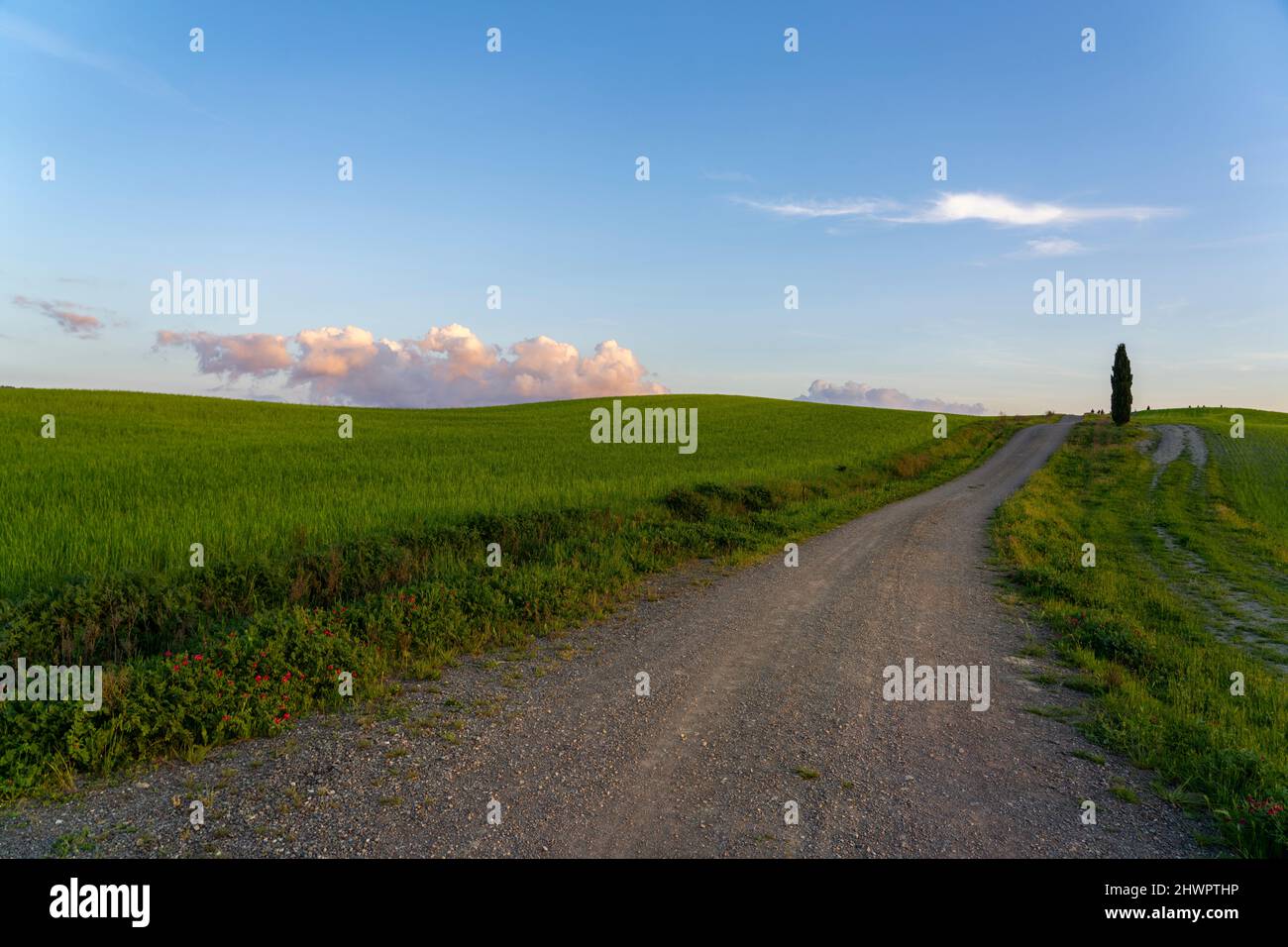 Empty dirt road val dorcia dusk hi-res stock photography and images - Alamy