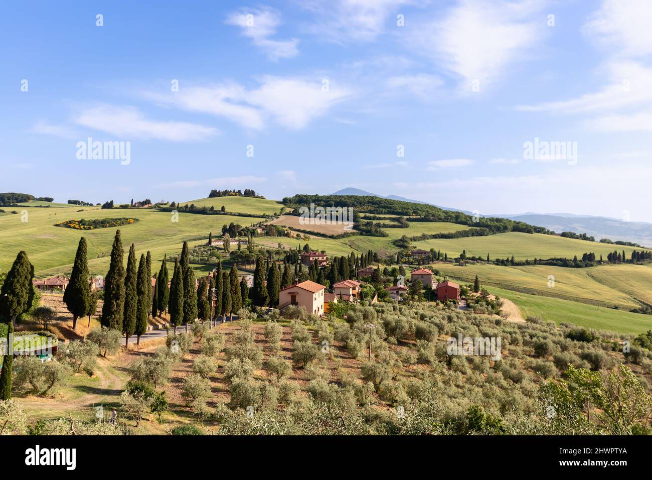 Town suburbs and numerous cultivated hills and forests surround ...