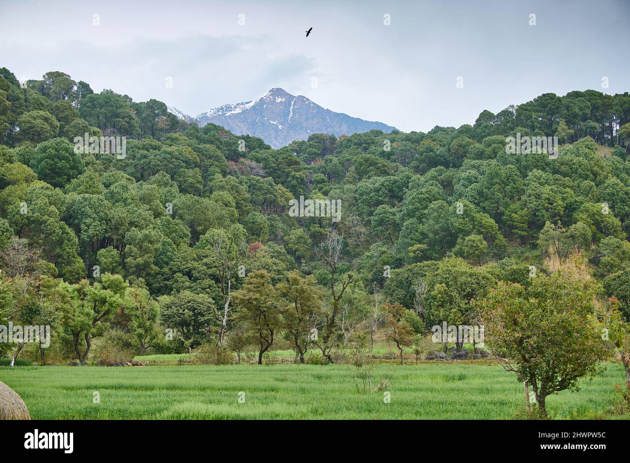 Snow capped Himalayan Peaks of Dhauladhar range as visible from Sidhpur ...
