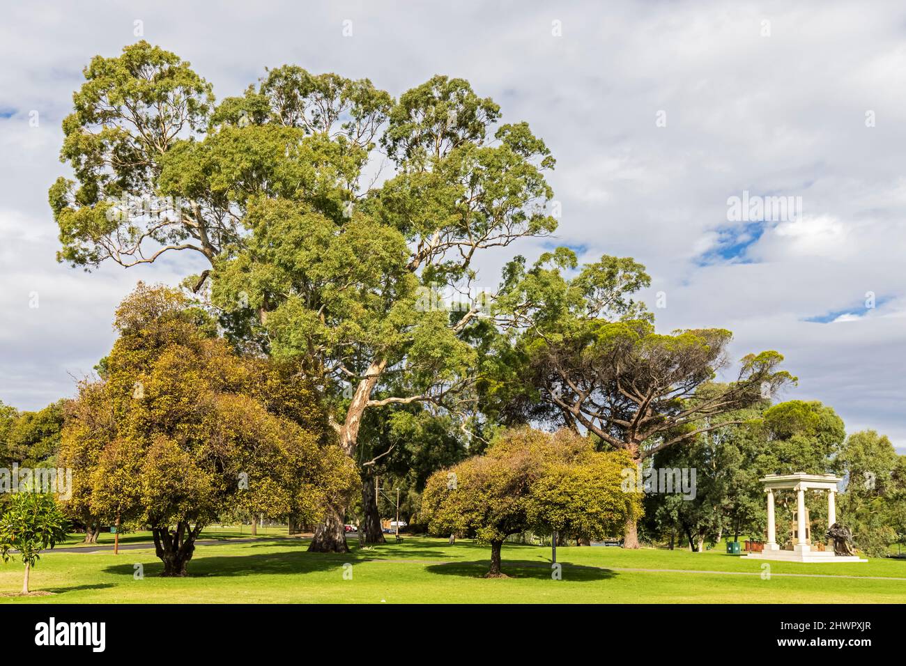 Green trees angas gardens angas family memorial background hi-res stock ...