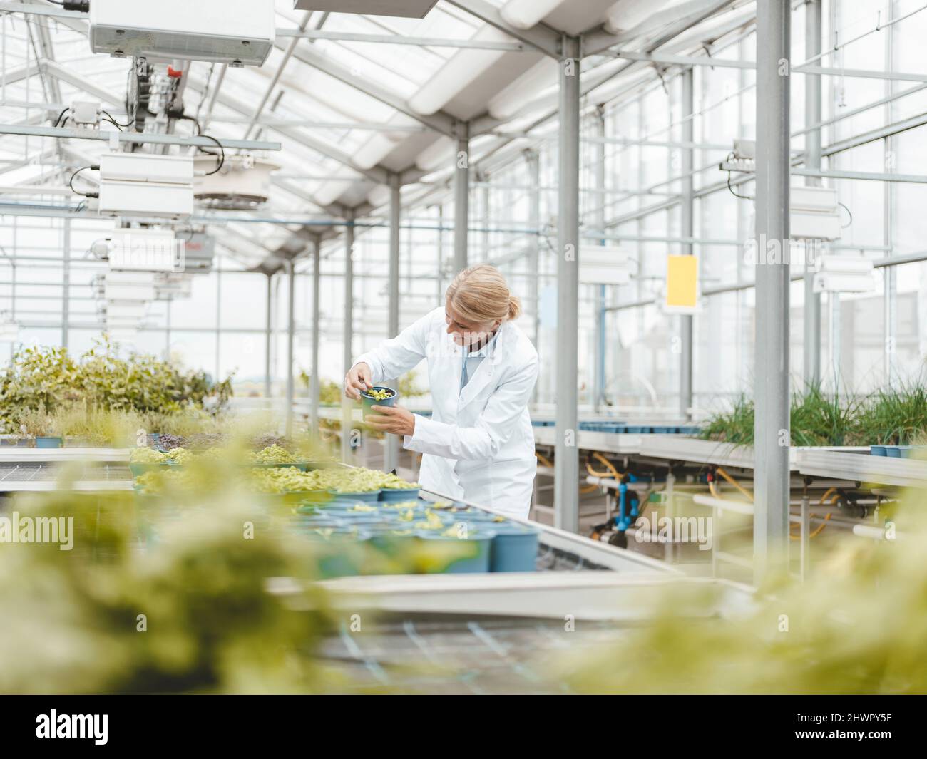 Centre for plant research hi-res stock photography and images - Alamy