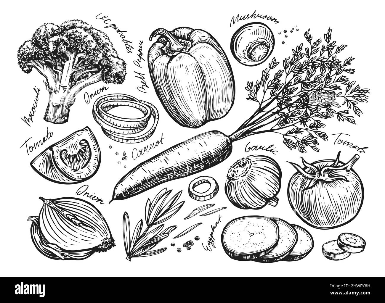 Vegetables set sketch. Farm organic food hand drawn vintage vector ...