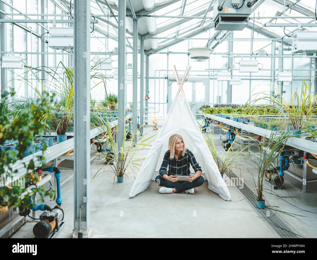 Laboratory tent hi-res stock photography and images - Alamy