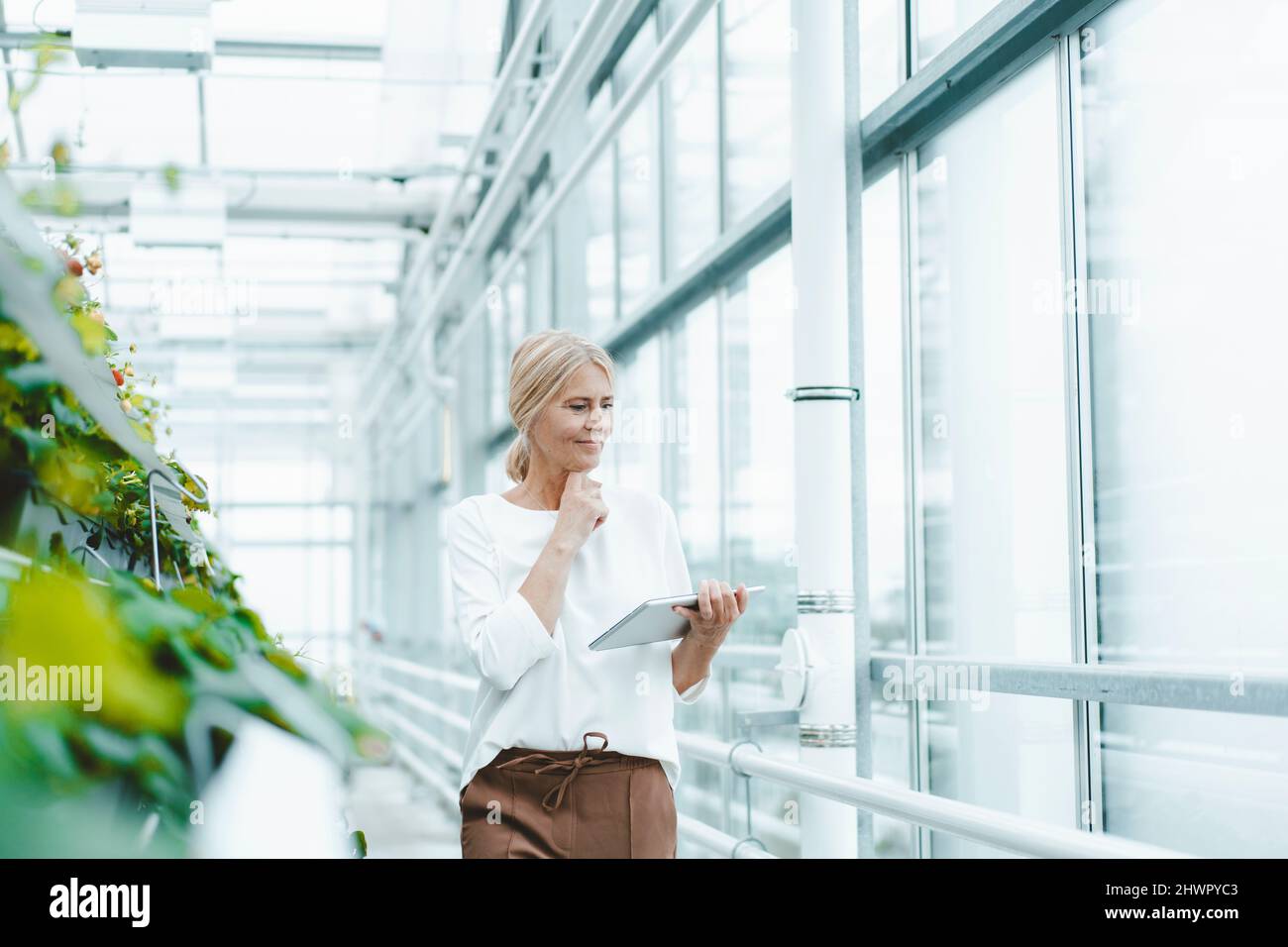 Biologist using tablet PC at plant nursery Stock Photo - Alamy
