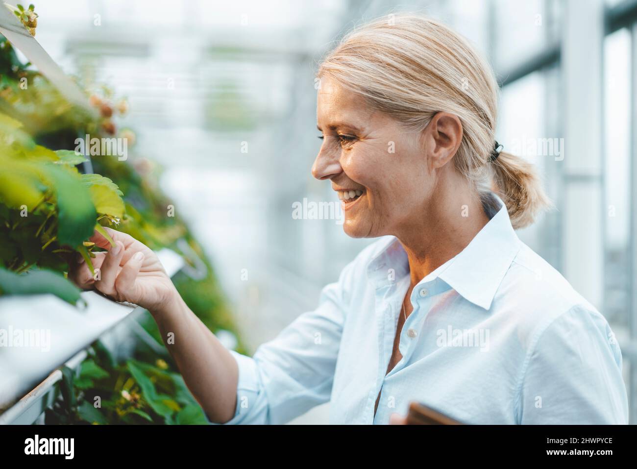Plants at the laboratory hi-res stock photography and images - Alamy