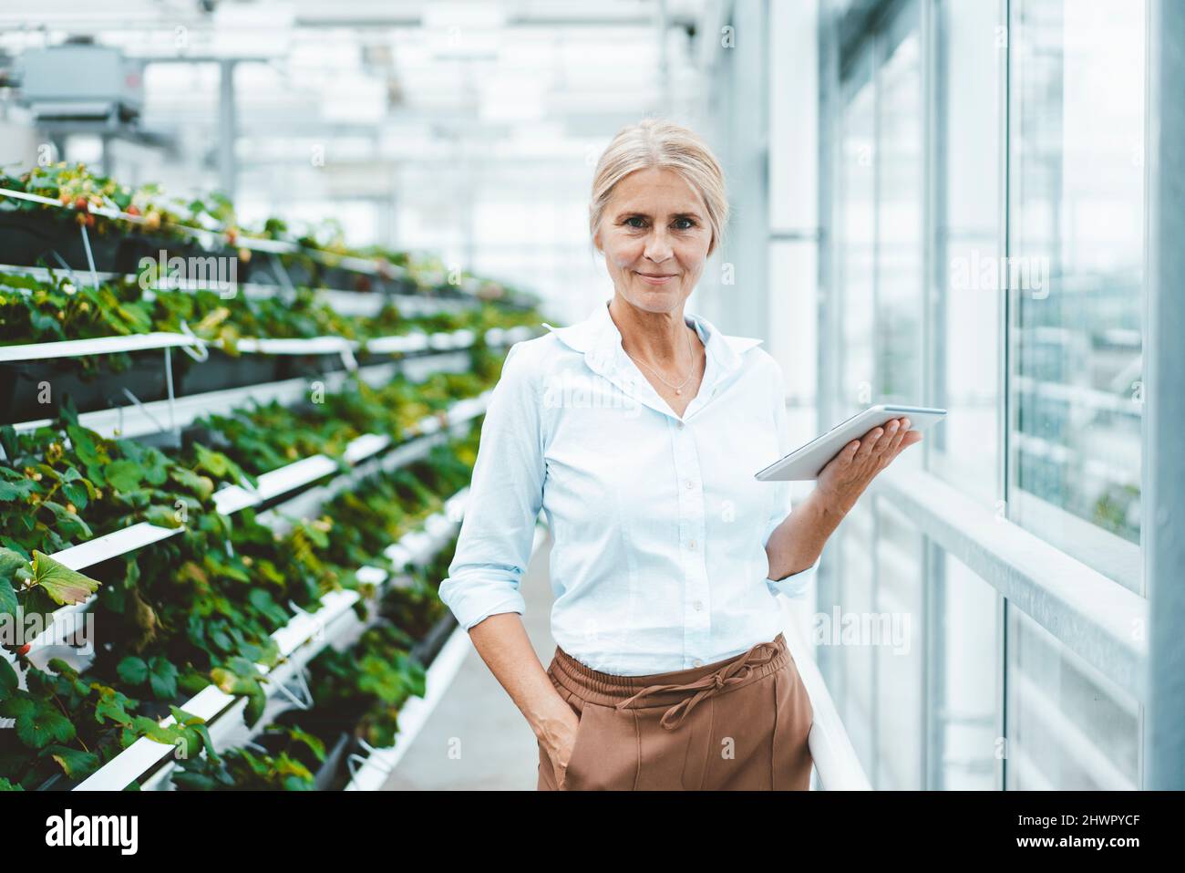 Biologist laboratory plant hi-res stock photography and images - Alamy