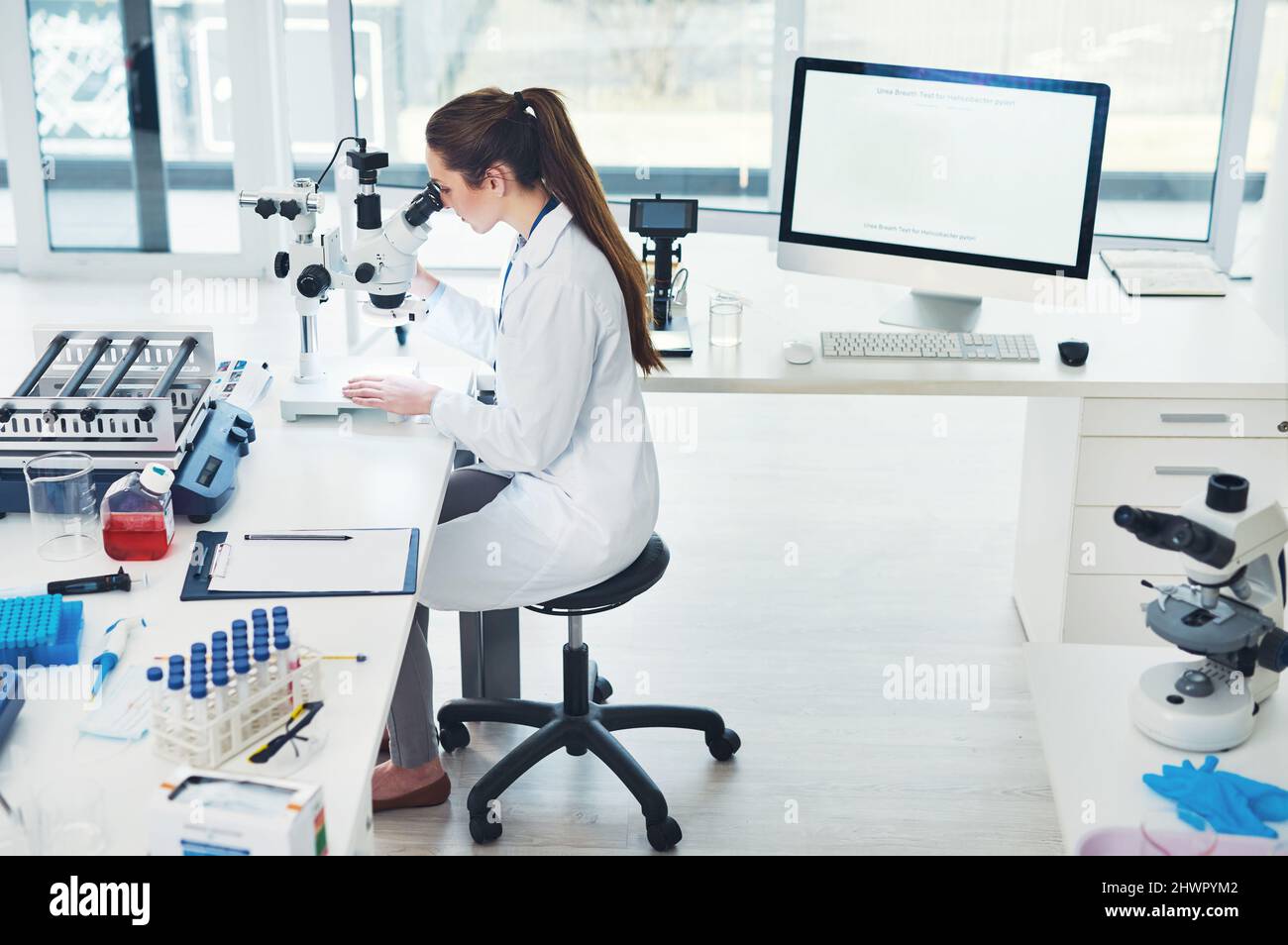 So much work still to do. Cropped shot of a focused young female ...